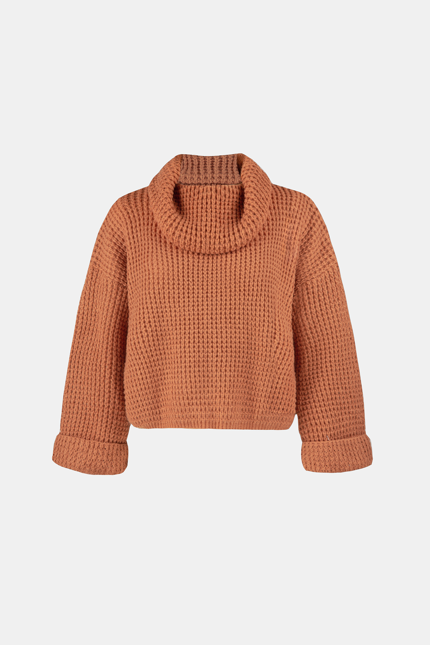 Girls Toasty Chunky Knit Turtleneck Sweater