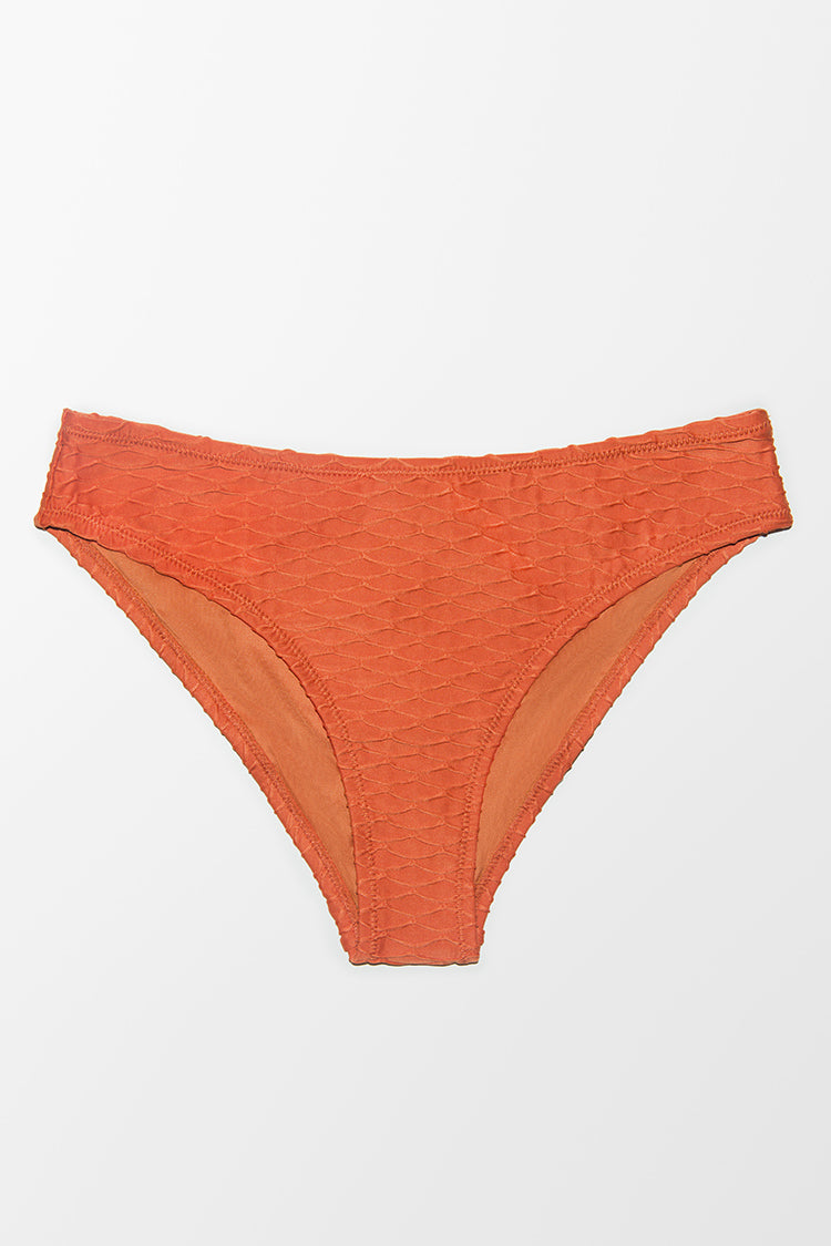 Eloise Textured Bikini Bottom